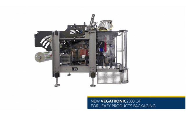 Pillow Bag Vertical | IMA Ilapak - Packaging Machines, Horizontal flow ...